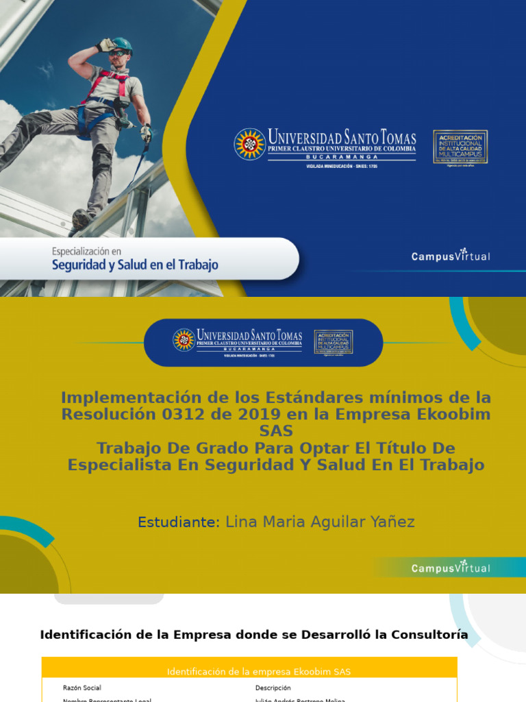 Presentación Esp. Seguridad y Salud en El Trabajo-1 | PDF