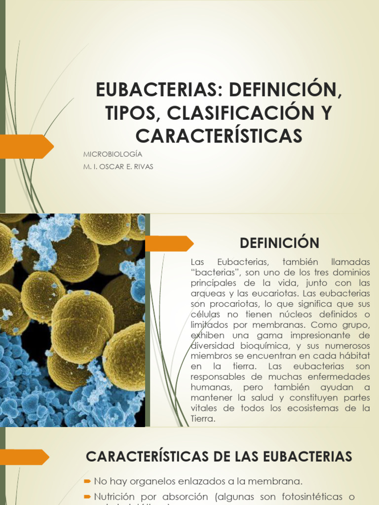 EUBACTERIAS | PDF | Las bacterias | Biología Celular)