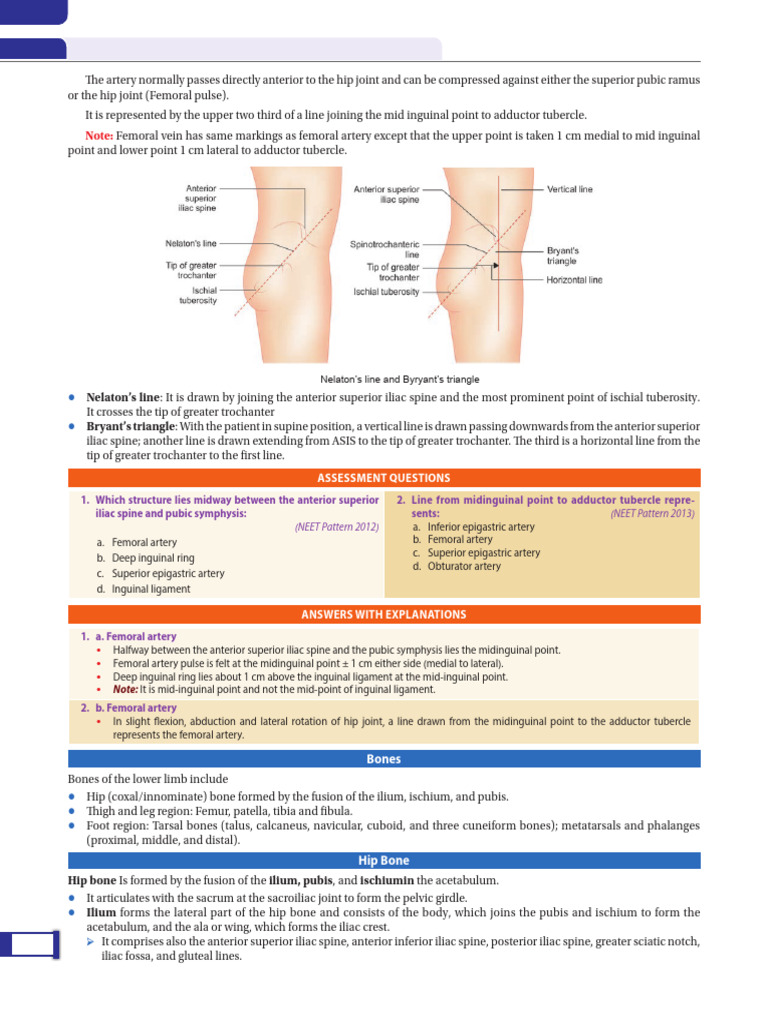 Surgery 2nd internal Lower limb | PDF | Human Leg | Pelvis