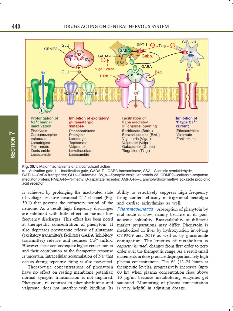 Epilepsy Pdf Drugs