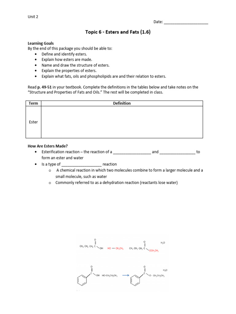 Understanding Esters and Fats | PDF | Ester | Lipid