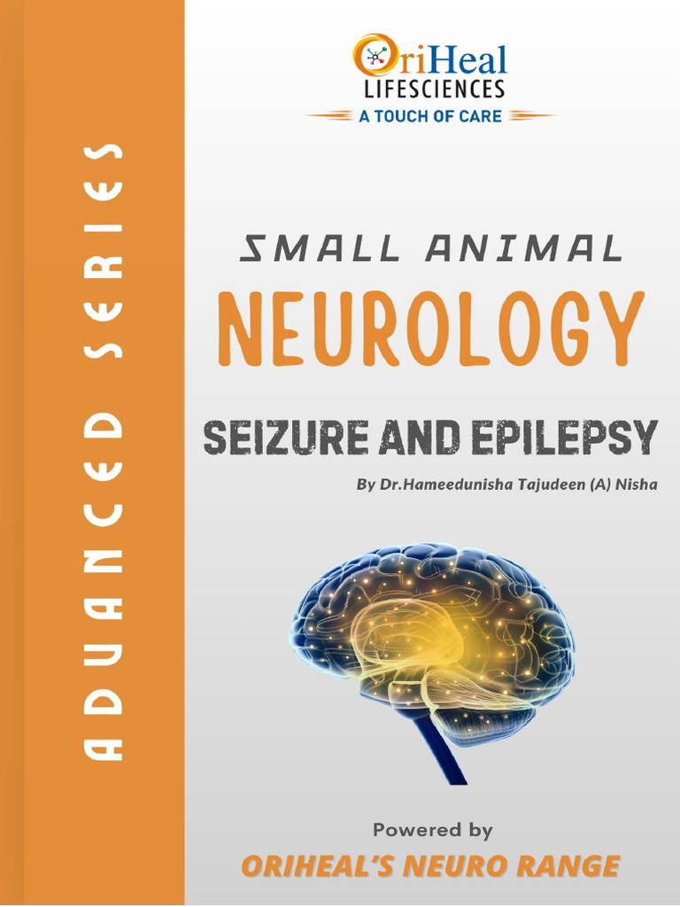 Seizure and Epilepsy Notes. | PDF | Epilepsy | Medical Specialties