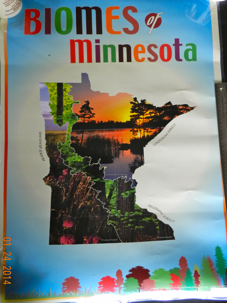 Biomes of MN | PDF