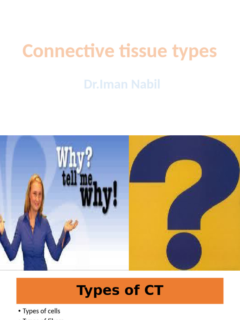 Connective Tissue Types 2021 | PDF | Connective Tissue | Adipose Tissue