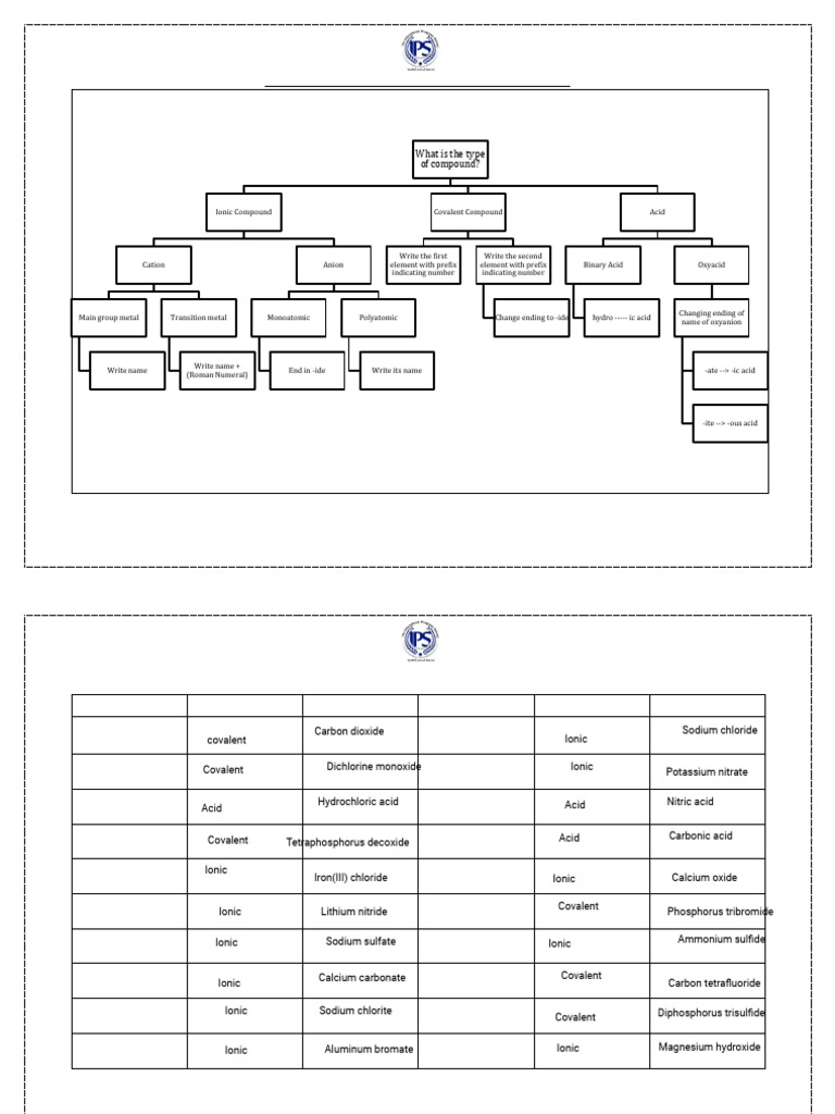 Kami Export - Laith Albarahmeh - Mixed Naming Practice | PDF | Salt ...