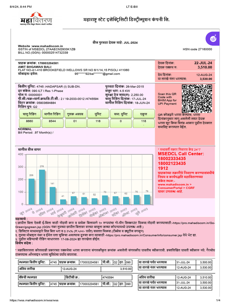07 LT E-Bill - JUL24 | PDF