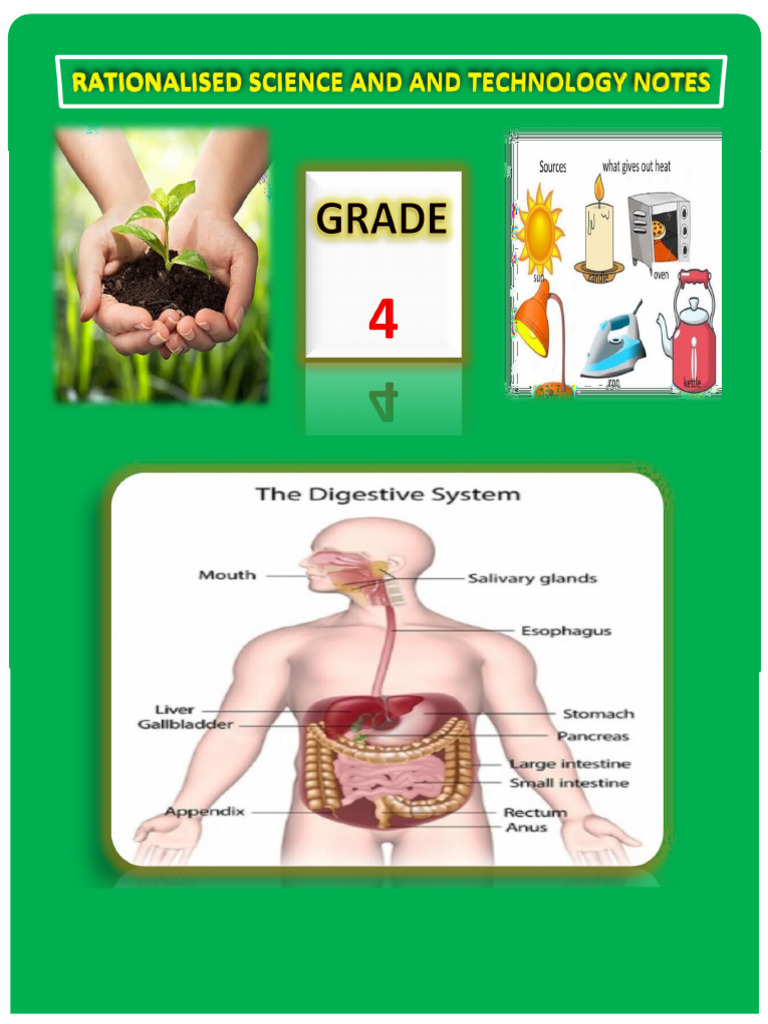 Grade 4 Science and Technology Notes | PDF | Waste | Digestion