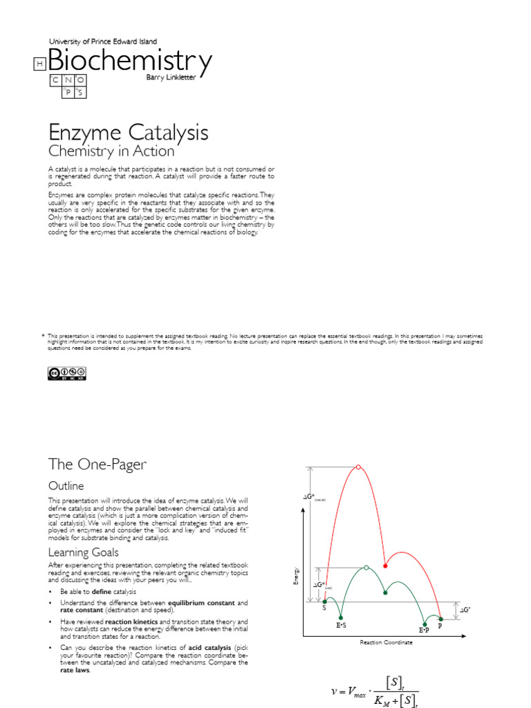 06-Enzyme Catalysis | PDF | Catalysis | Enzyme