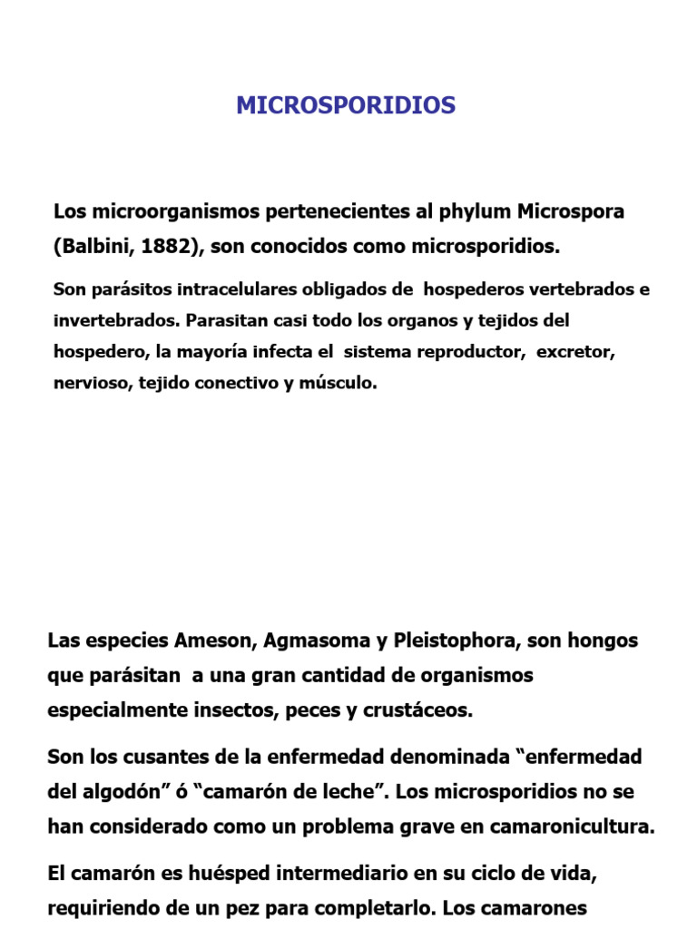 Microsporidios: Parásitos en Camarones | PDF | Infección | Hongo
