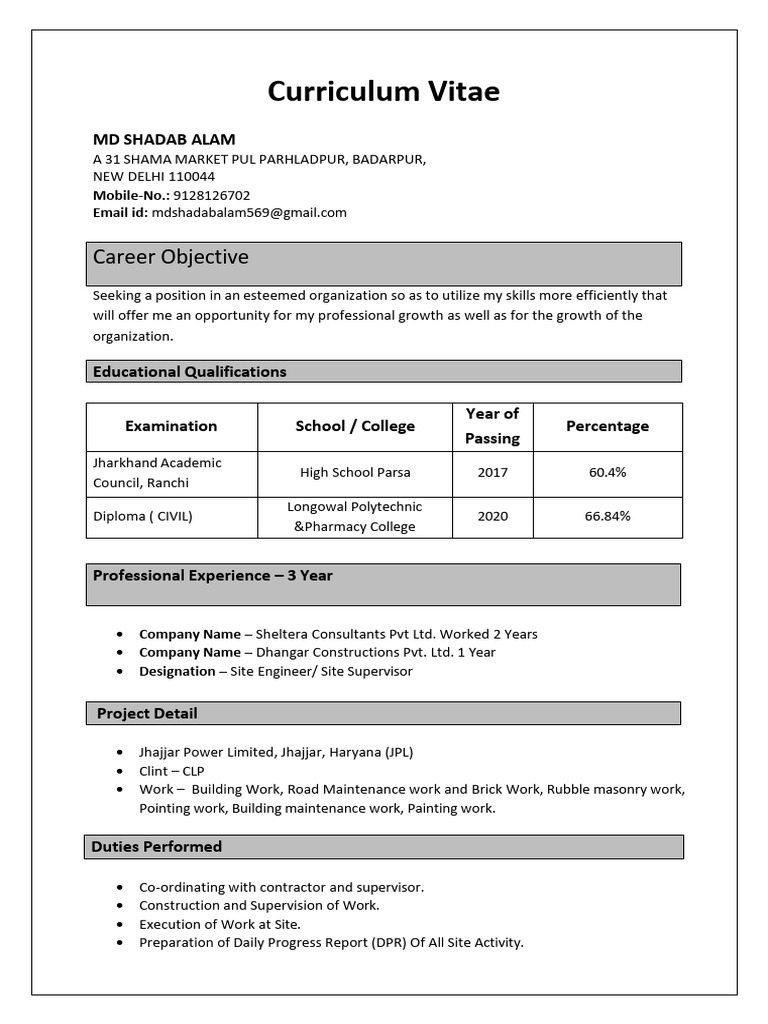 Shadab - CV | PDF