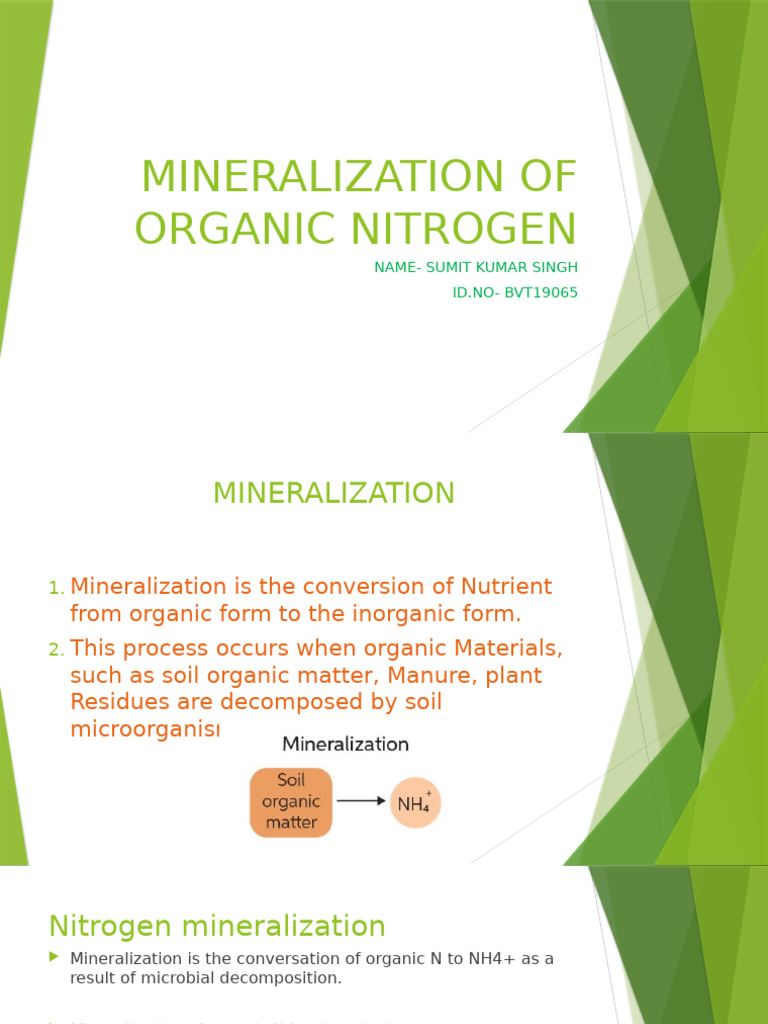 Mineralisation of Organic Nitrogen | PDF