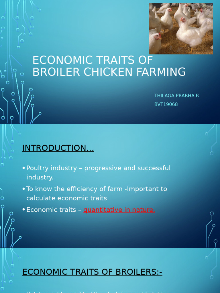 Economic Traits in Broiler Farming | PDF