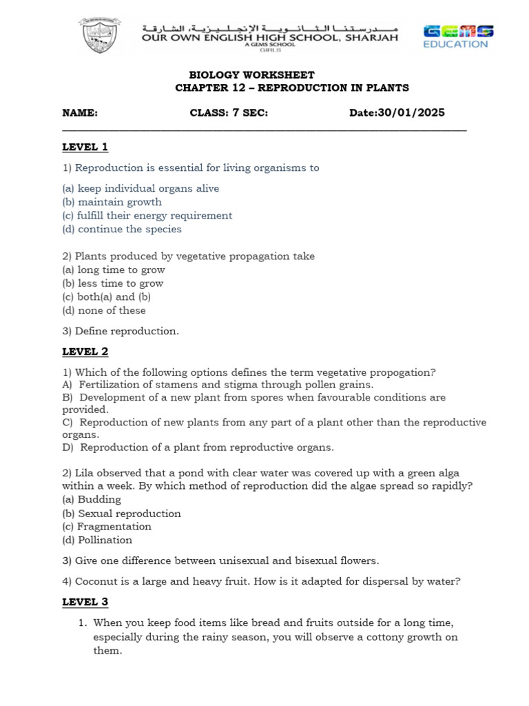 Grade 7 Plant Reproduction Worksheet | PDF | Plant Reproduction | Plants