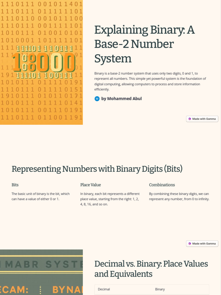 Understanding Binary Number System | PDF