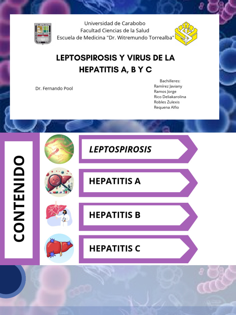 Leptospirosis y Hepatitis 2.0 - 20241110 - 214741 - 0000 | PDF | Hepatitis B | Hepatitis