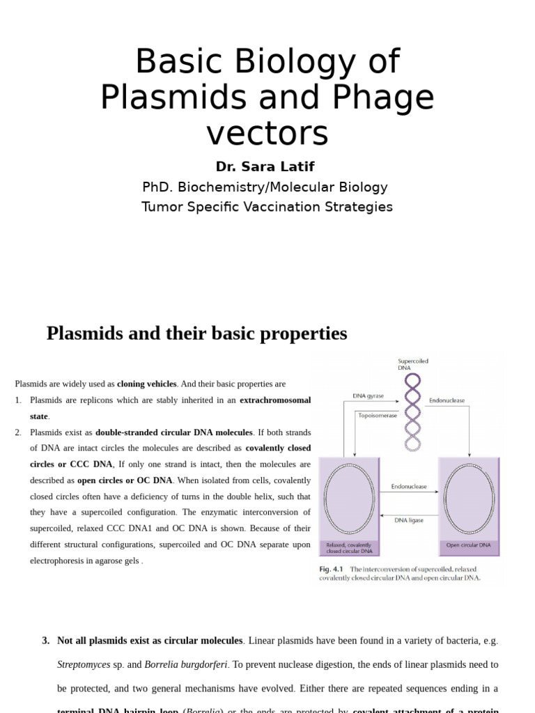 Basic Biology of Plasmid and Phage Vectors | PDF | Molecular Cloning | Plasmid