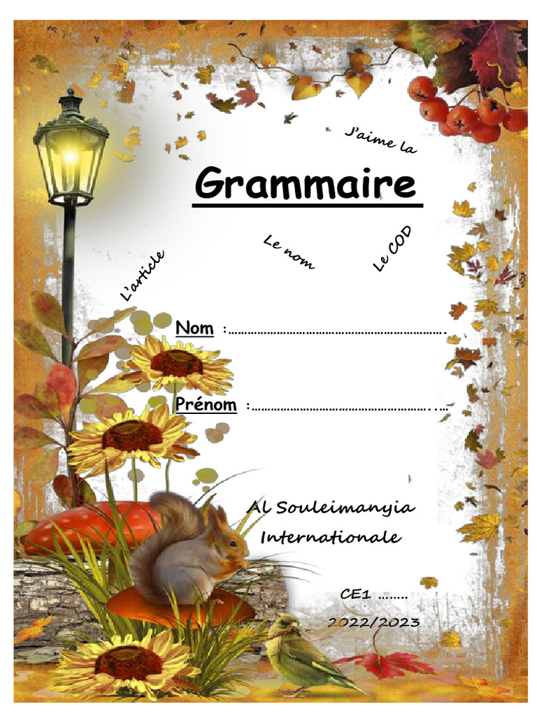 Cahier de Grammaire CE1 2022 | PDF