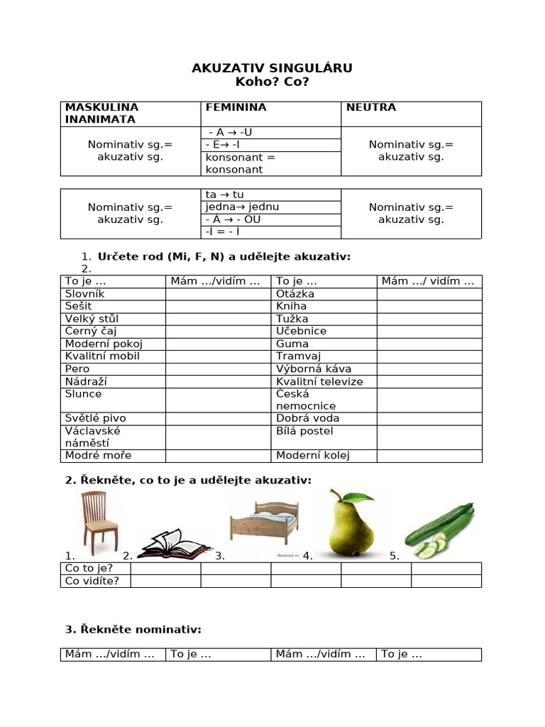Akuzativ SG Mi, F, N - PKM | PDF