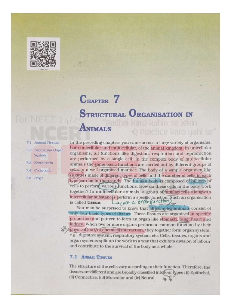 Structural Organisation in Animals AR Marked | PDF