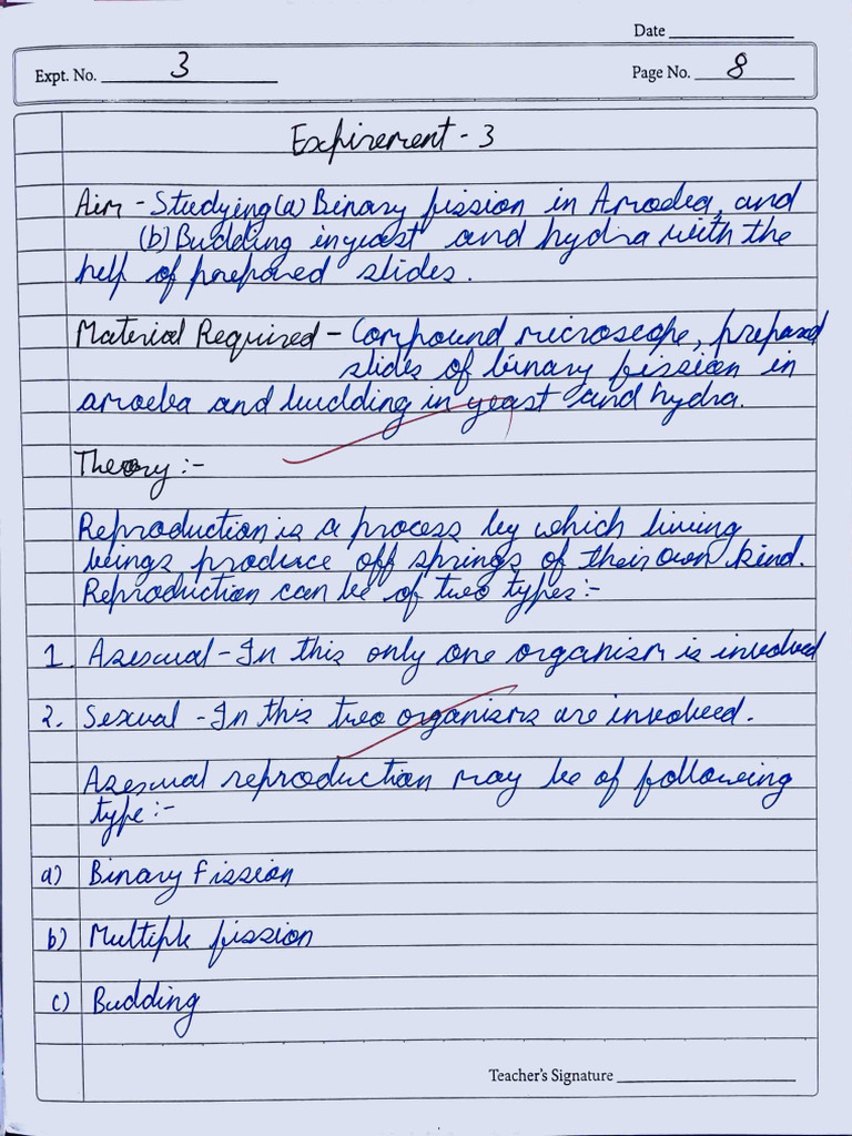 Binary Fission and Budding | PDF