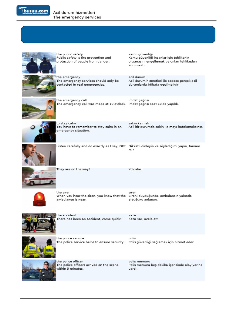 28.the Emergency Services | PDF