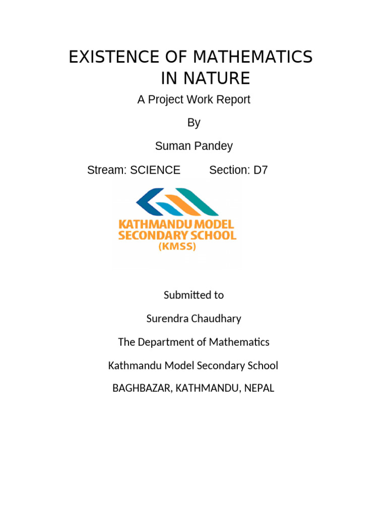 Existence of Mathematics | PDF | Mathematics | Fractal