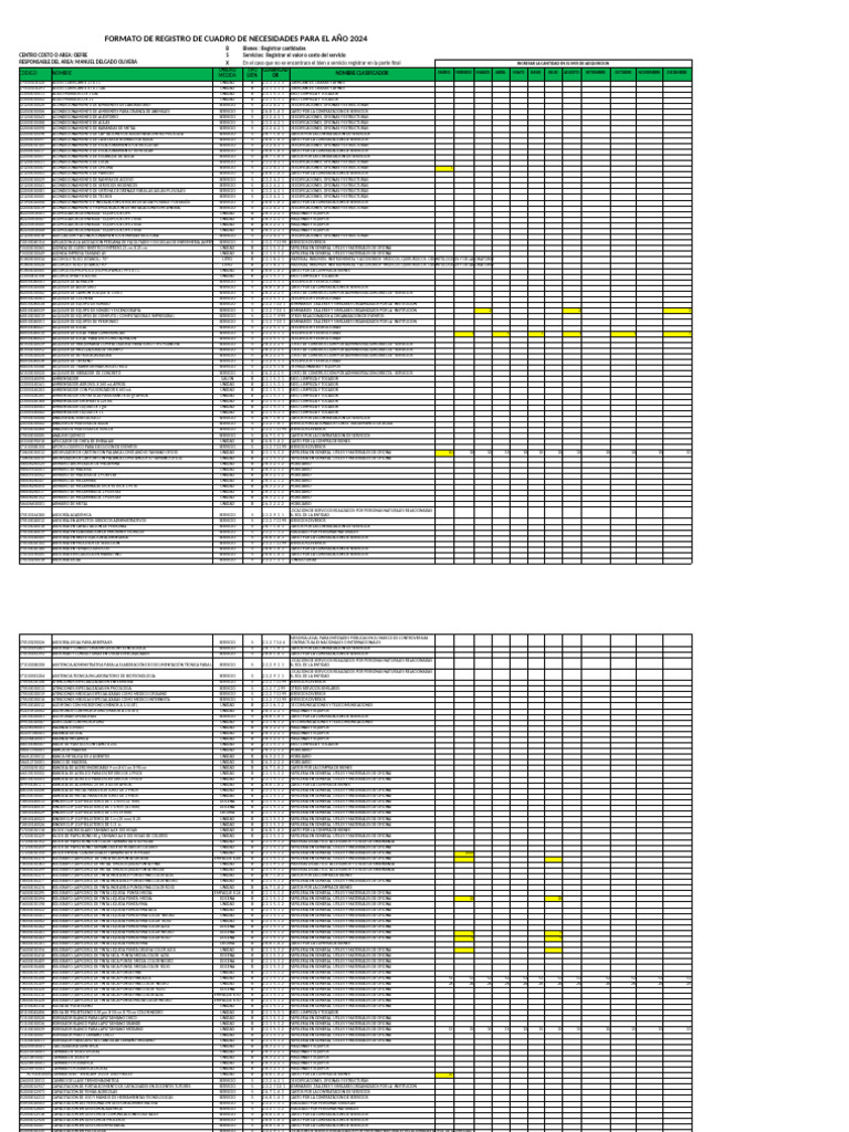 Actual Formato - Programacion - Cuadro - Necesidades - 2024 - Acciones - Centrales - Inicial ...