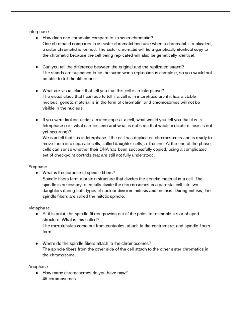 Stop_Motion_Mitosis_Animation_Project_questions__answers | PDF ... Stop_Motion_Mitosis_Animation_Project_questions__answers | PDF ...