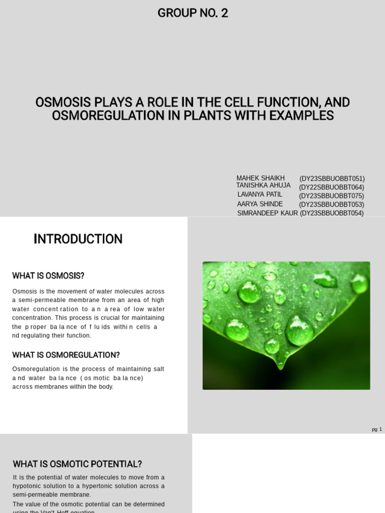 Osmosis Plays A Role in The Cell Function, Also Elaborate With An ...