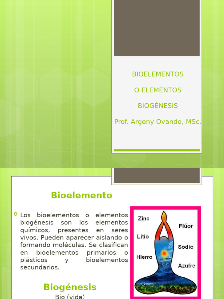 Bioelementos | PDF | Calcio | Biomoléculas