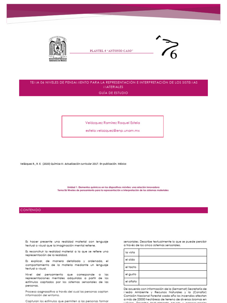 Ge06 Los Niveles de Pensamiento | PDF | Pensamiento | Percepción