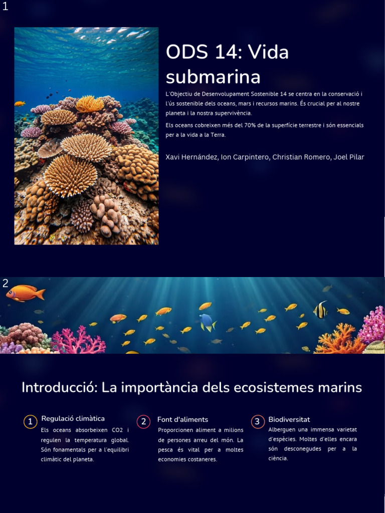 ODS-14-Vida-submarina | PDF