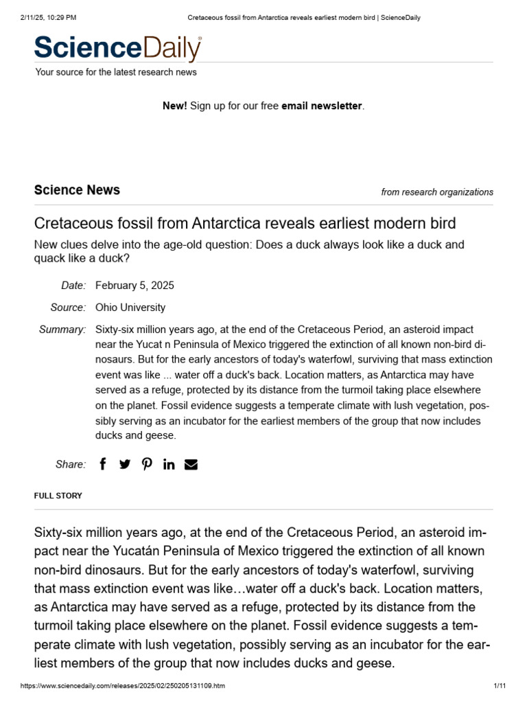 Antarctic Fossil Unveils Early Bird | PDF | Birds | Dinosaurs