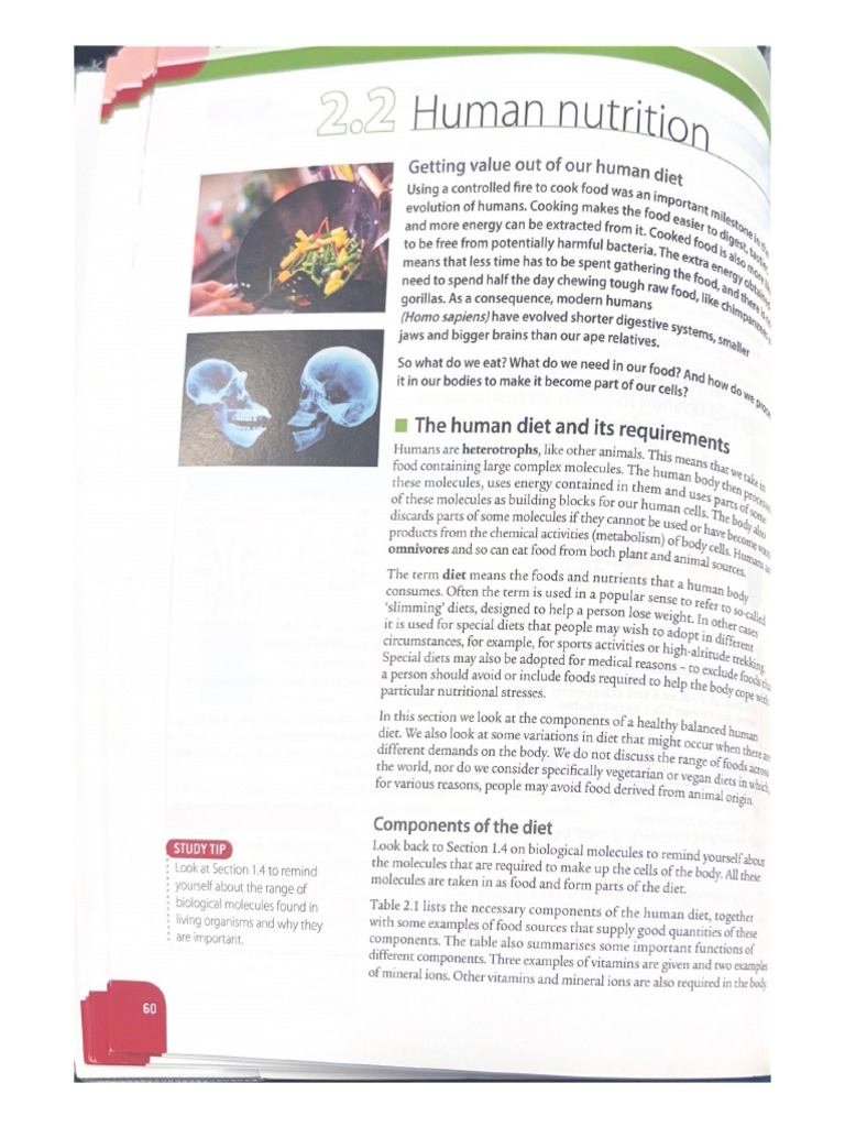 202 Human nutrition | PDF