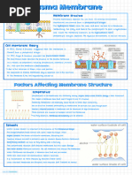 Amoeba Sisters Video Recap | PDF | Cell Membrane | Cell (Biology)