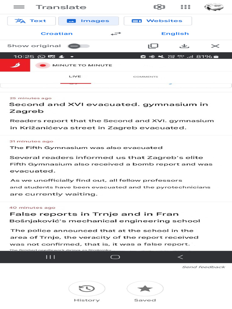 Google Translate | PDF