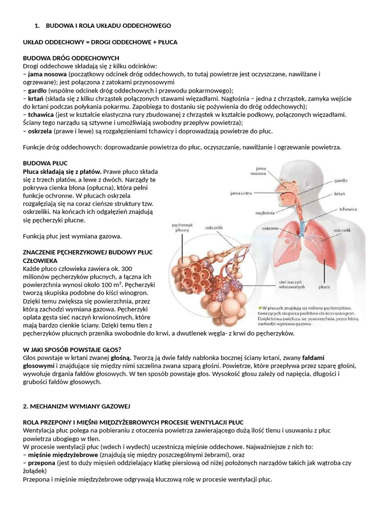 BUDOWA I ROLA UKŁADU ODDECHOWEGO | PDF