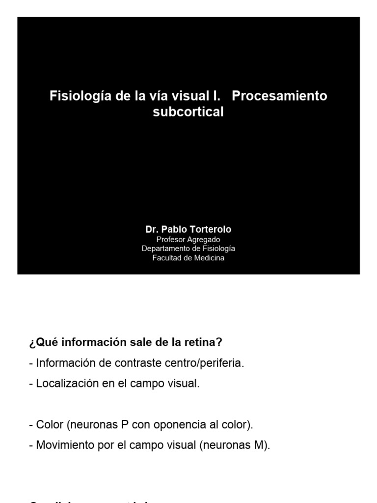 Vision 2 - Via Visual | PDF | Corteza visual | Percepción visual