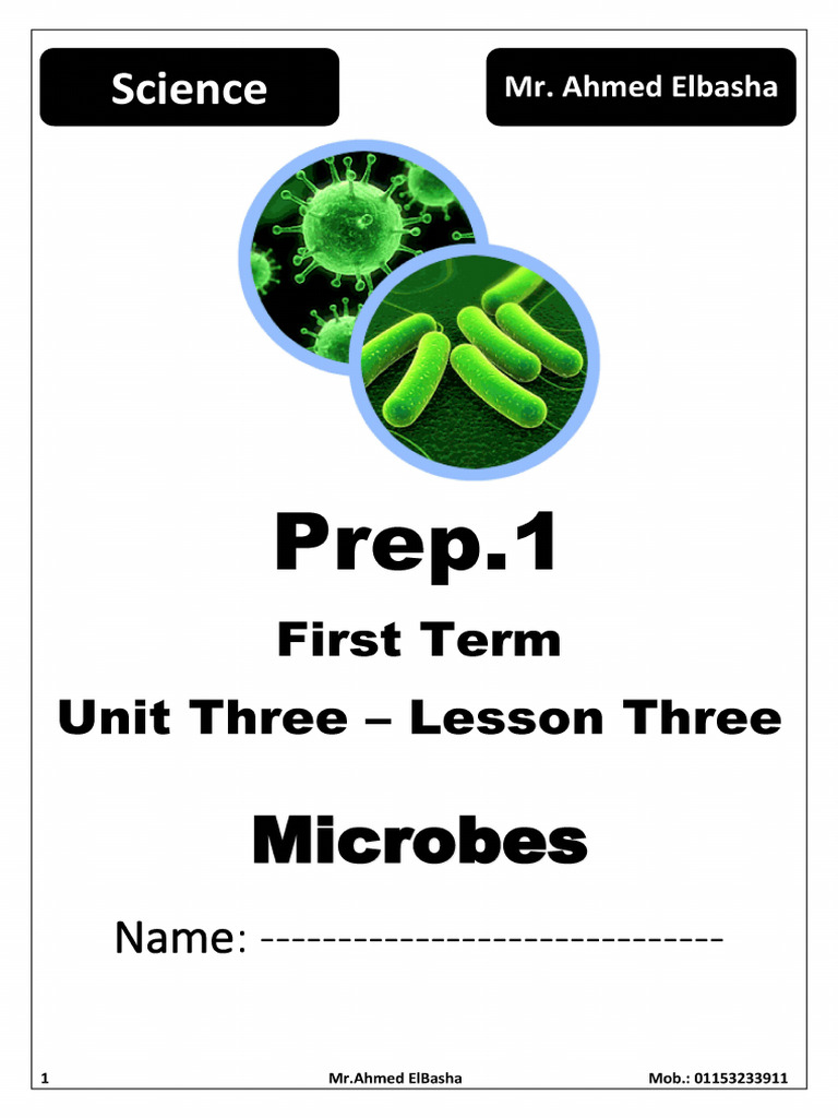 Prep.1 Unit Three - Lesson Three 2024 | PDF