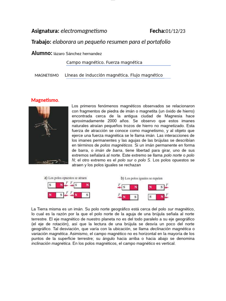 Campo y Fuerza Magnetica | PDF | Campo magnético | Magnetismo