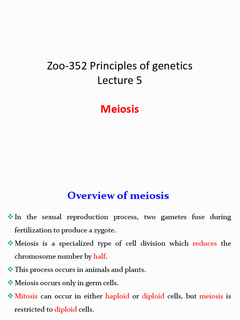 Lecture - 5 - Genetics - Meiosis 1 | PDF | Meiosis | Mitosis