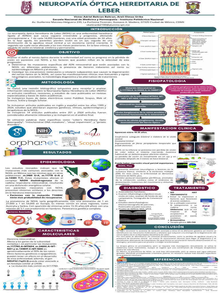 Nohl Aans | PDF | Visión | Biología