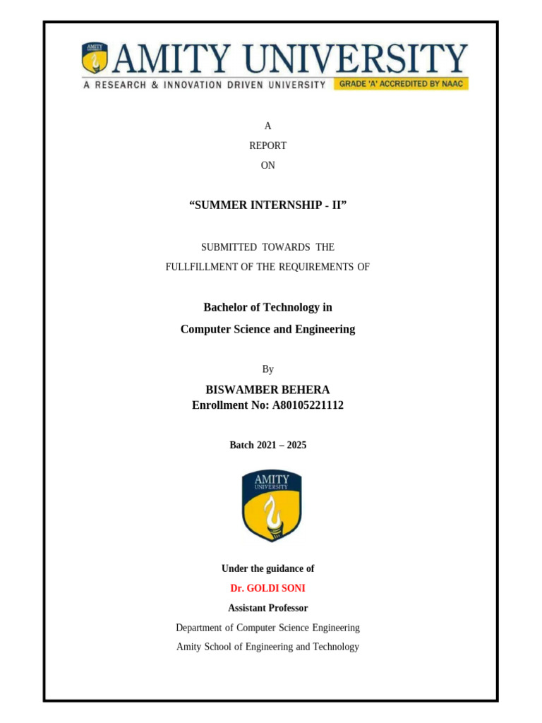 Biswamber Behera SIP Report | PDF | Web Development | World Wide Web