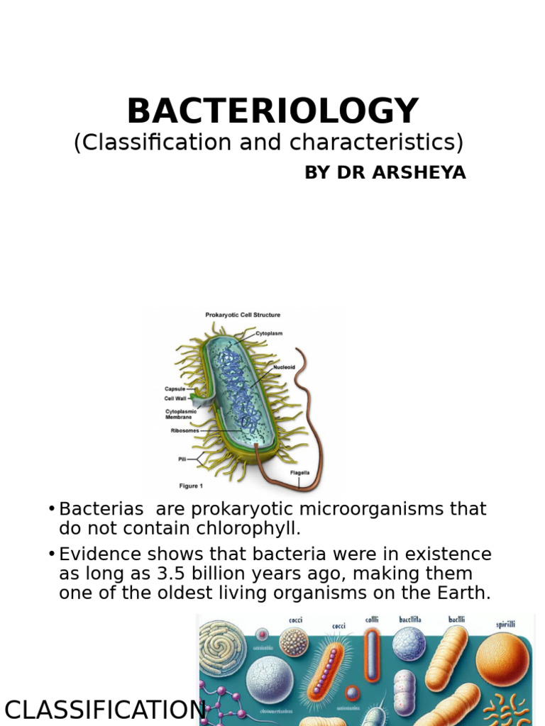 Bacteriology | PDF