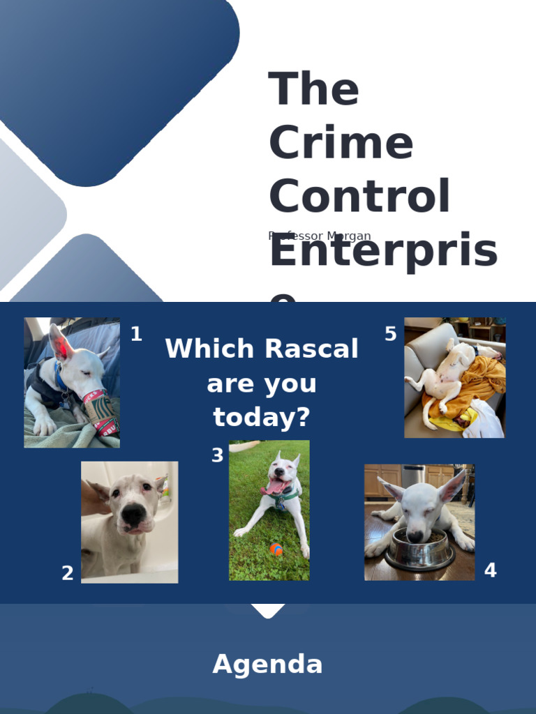 Chapter 1 Part 1 RCG | PDF | Climate Change | Natural Gas