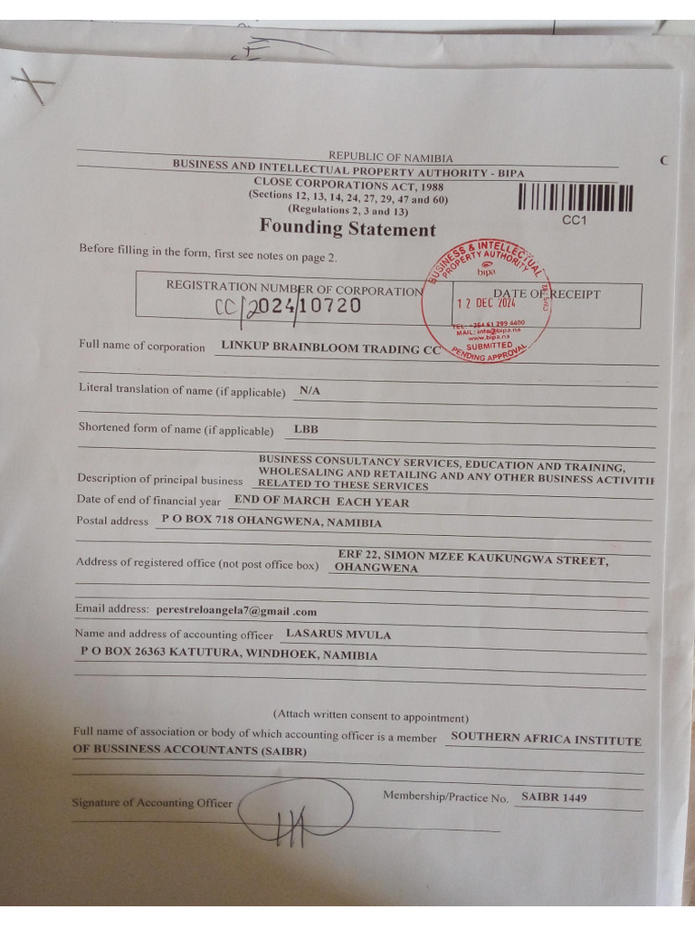 Linkup Brainbloom Trading Cc | PDF