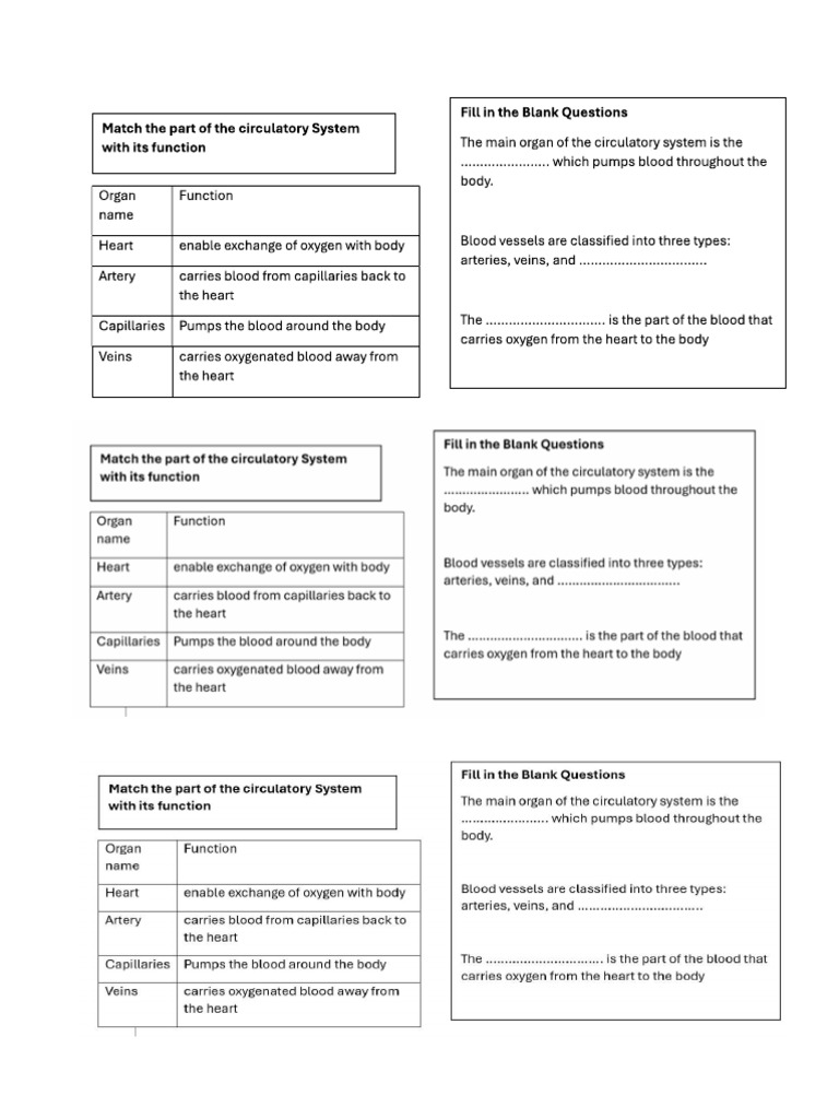 Circulatory System | PDF