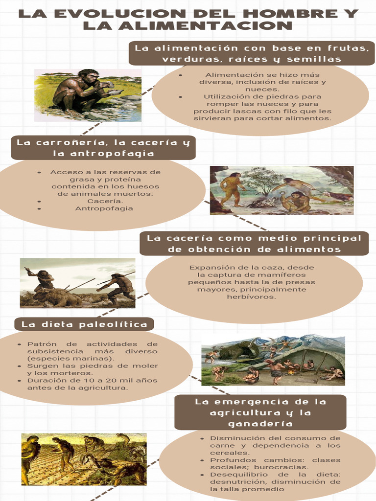 Evolución de la Alimentación Humana | PDF | Alimentos | Dieta