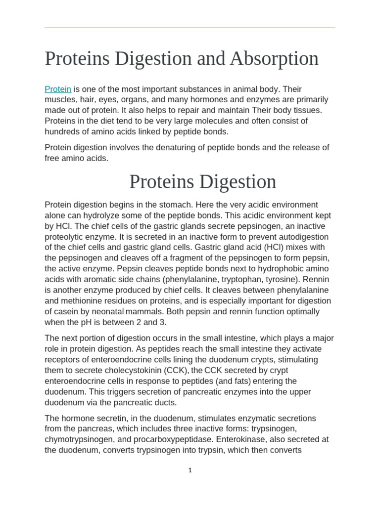 WWWWWWWWW Proteins Digestion and Absorption | PDF | Digestion | Proteolysis