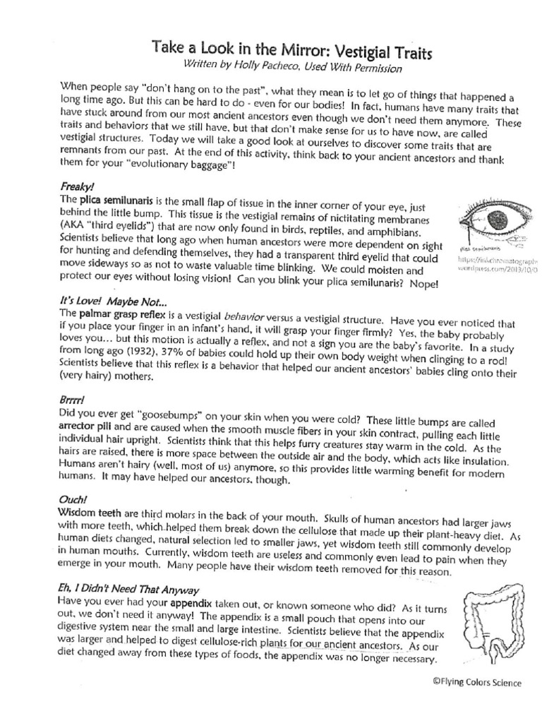 Vestigial Reading | PDF